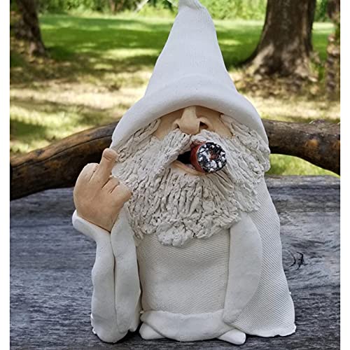 Tirifer Garden Gnome, Wizard Gnome 3D Dwarves, Polyresin Outdoor Sculpture Middle Finger Gnome Statue Garden Figurine Art Garden Decoration for Lawn Yard Balcony Porch Patio