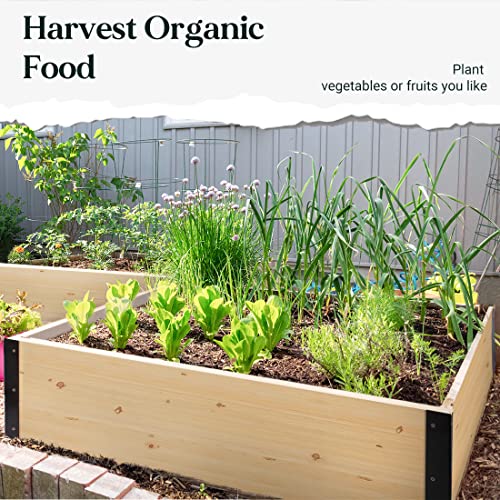 Quictent 4x4 Raised Garden Bed Kit β Elevated Ground Planter for Growing Fruit/Vegetables/Herbs β (48 x 48 x 11) inches β Natural Rot-Resistant Wood w/Corner Brackets Outdoors