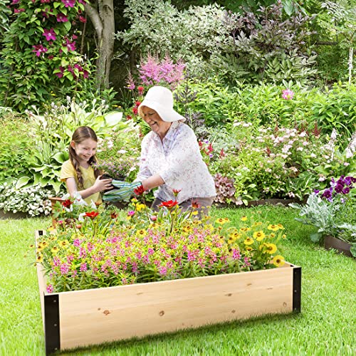 Quictent 4x4 Raised Garden Bed Kit β Elevated Ground Planter for Growing Fruit/Vegetables/Herbs β (48 x 48 x 11) inches β Natural Rot-Resistant Wood w/Corner Brackets Outdoors