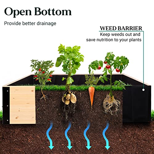 Quictent 4x4 Raised Garden Bed Kit β Elevated Ground Planter for Growing Fruit/Vegetables/Herbs β (48 x 48 x 11) inches β Natural Rot-Resistant Wood w/Corner Brackets Outdoors