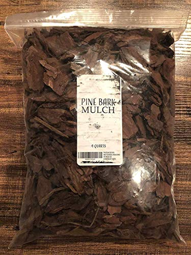 Pine Bark Mulch, 100% Natural Pine Bark Mulch, House Plant Cover Mulch, Potting Media, and More (4qt)