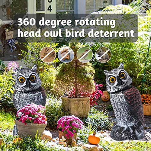 KKY Fake Owl Sculpture Latest 2pc, Revolving Head Plastic Owl for Outdoor Garden.