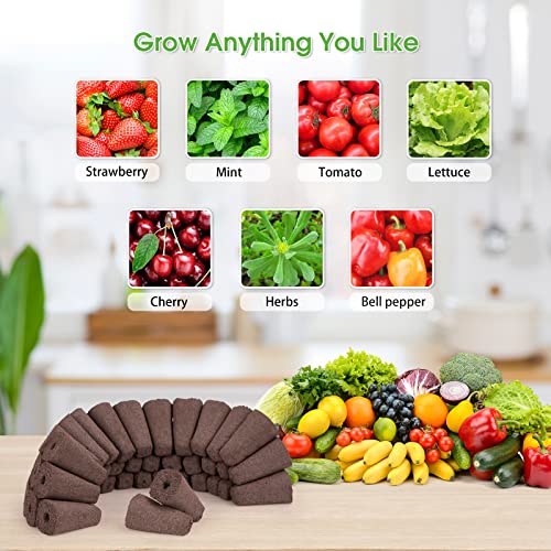 60 Pack Replacement Grow Sponges, Seed Pod Kit Seed Starter Pods Hydroponics Sponges Grow Sponges for Hydroponics Root Growth Sponges Refill Pods for Hydroponic Growing System Indoor Garden, Square