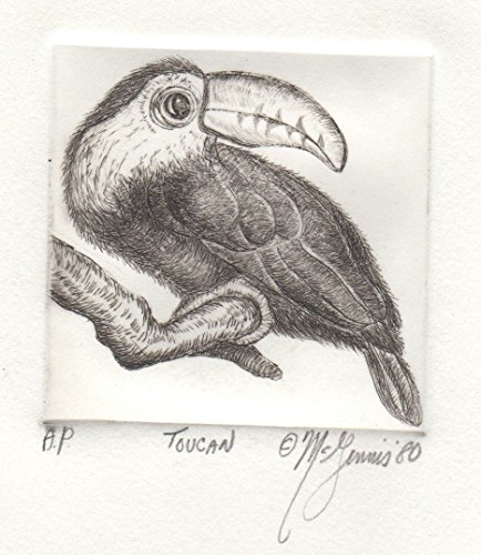Toucan