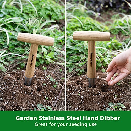 Berry&Bird Hand Dibber, Stainless Steel Sow Dibbler with Wood Handle, Garden Hole Punch Dibbler Tool for Planting Seeds & Bulbs, Hand Held Bulb Planter for Planting Flowers Tulips, Daffodils, Dahlias