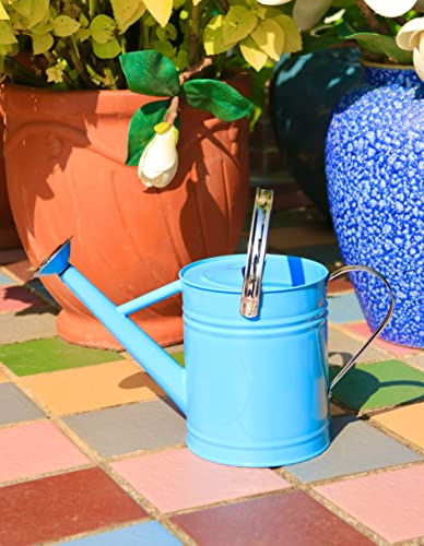 Joequality Watering Can for Outdoor&Indoor Plants,Galvanized Steel Watering Can with Stainless Steel Handles,1 Gallon Metal Plant Watering Pot Gardening Tools,Blue
