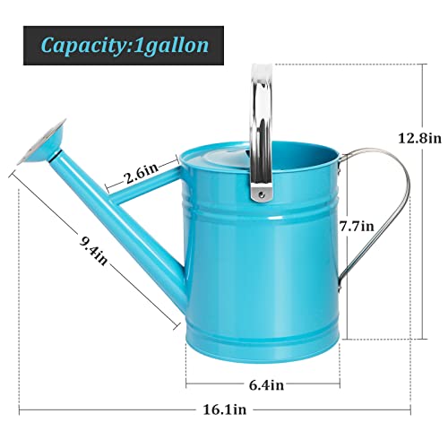 Joequality Watering Can for Outdoor&Indoor Plants,Galvanized Steel Watering Can with Stainless Steel Handles,1 Gallon Metal Plant Watering Pot Gardening Tools,Blue