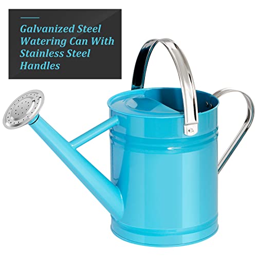 Joequality Watering Can for Outdoor&Indoor Plants,Galvanized Steel Watering Can with Stainless Steel Handles,1 Gallon Metal Plant Watering Pot Gardening Tools,Blue
