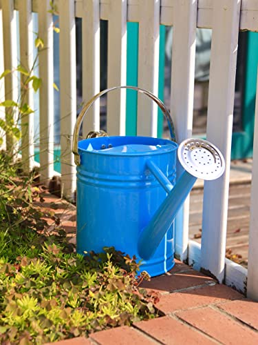 Joequality Watering Can for Outdoor&Indoor Plants,Galvanized Steel Watering Can with Stainless Steel Handles,1 Gallon Metal Plant Watering Pot Gardening Tools,Blue