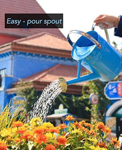 Joequality Watering Can for Outdoor&Indoor Plants,Galvanized Steel Watering Can with Stainless Steel Handles,1 Gallon Metal Plant Watering Pot Gardening Tools,Blue