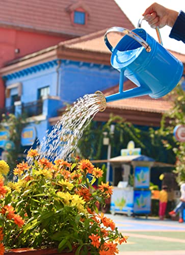 Joequality Watering Can for Outdoor&Indoor Plants,Galvanized Steel Watering Can with Stainless Steel Handles,1 Gallon Metal Plant Watering Pot Gardening Tools,Blue