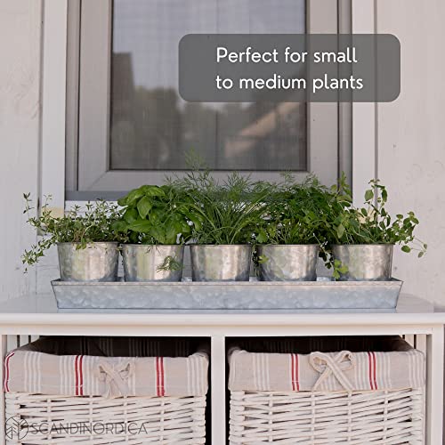 SCANDINORDICA Galvanized Herb Planter β 5 Herb Pots with Drainage Holes and Tray, Windowsill Planter, Indoor Herb Garden Planter Outdoor, Herb Pots for Indoor Plants | Windowsill Herb Garden