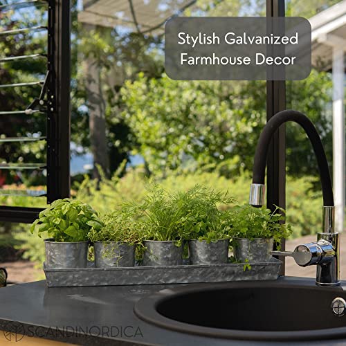 SCANDINORDICA Galvanized Herb Planter β 5 Herb Pots with Drainage Holes and Tray, Windowsill Planter, Indoor Herb Garden Planter Outdoor, Herb Pots for Indoor Plants | Windowsill Herb Garden