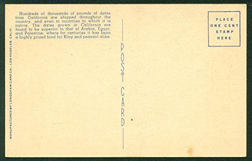 Date Palms California Vintage Linen Postcard