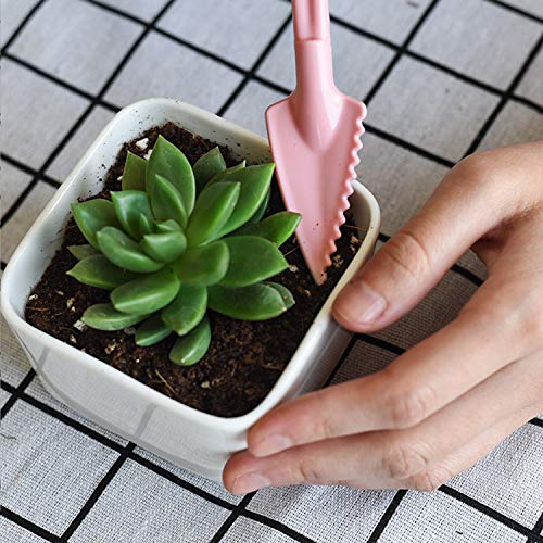 KALIM 16Pcs Succulent Plant Tools, Mini Planting/Transplanting Gardening Tool Set for Indoor Miniature Garden Plant Care(Pink)