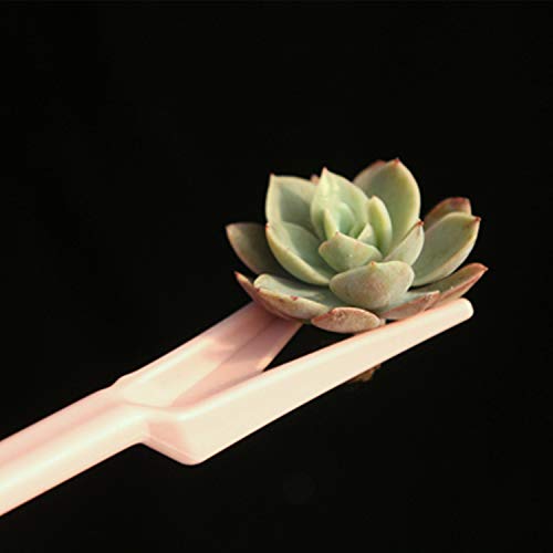 KALIM 16Pcs Succulent Plant Tools, Mini Planting/Transplanting Gardening Tool Set for Indoor Miniature Garden Plant Care(Pink)