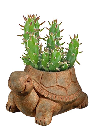 Classic Home and Garden 9/3452R/1 Turtle Planter, Large, Rust