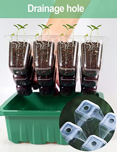 14 Packs Seed Starter Tray, 168 Cells Total Tray, Seed Starting Kit with Adjustable Humidity Dome and Base Plant Starter Kit Mini Greenhouse Germination Kit with 2 Garden Tools and 20 Plant Labels