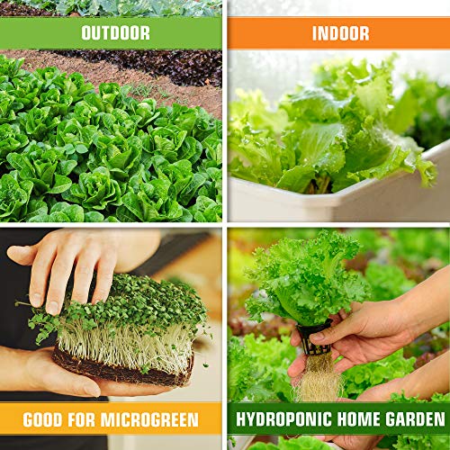 Heirloom Non-GMO Lettuce and Greens Seeds Variety Pack for Outdoor and Indoor Gardening & Hydroponics, 5000+ Seeds - Kale, Butter, Oak, Spinach, Romaine Bibb & More