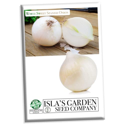 White Sweet Spanish Onion Seeds for Planting, 500+ Heirloom Seeds Per Packet, (Isla's Garden Seeds), Non GMO Seeds, Botanical Name: Allium cepa, Great Home Garden Gift