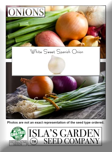 White Sweet Spanish Onion Seeds for Planting, 500+ Heirloom Seeds Per Packet, (Isla's Garden Seeds), Non GMO Seeds, Botanical Name: Allium cepa, Great Home Garden Gift