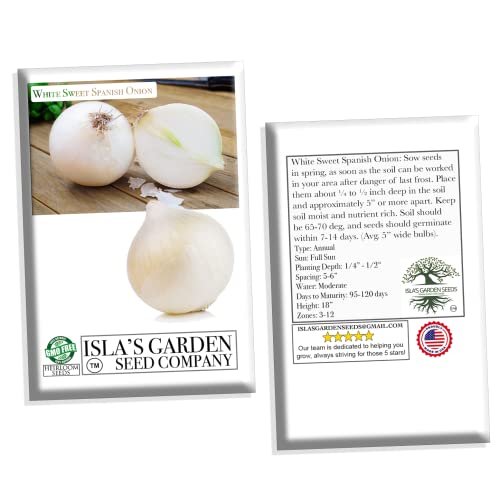 White Sweet Spanish Onion Seeds for Planting, 500+ Heirloom Seeds Per Packet, (Isla's Garden Seeds), Non GMO Seeds, Botanical Name: Allium cepa, Great Home Garden Gift