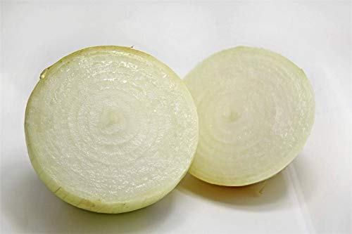 White Sweet Spanish Onion Seeds for Planting, 500+ Heirloom Seeds Per Packet, (Isla's Garden Seeds), Non GMO Seeds, Botanical Name: Allium cepa, Great Home Garden Gift