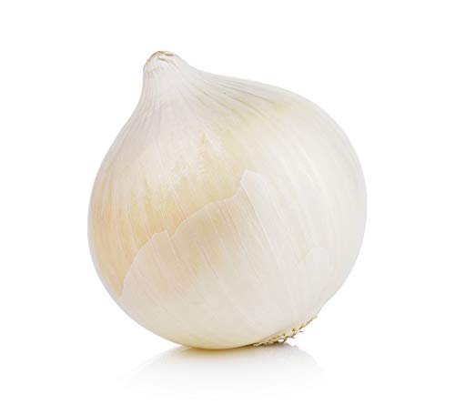 White Sweet Spanish Onion Seeds for Planting, 500+ Heirloom Seeds Per Packet, (Isla's Garden Seeds), Non GMO Seeds, Botanical Name: Allium cepa, Great Home Garden Gift