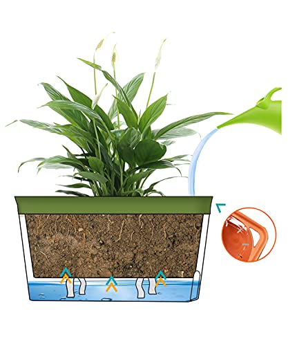 GardenBasix Self Watering Planter Pots Window Box for Indoor Plants Home Garden Modern Decorative Flower Pot for All House Herbs Succulents Set of 6 (6, Green(Rectangle))