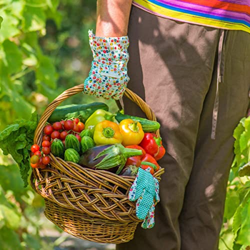 8-8-8 Triple Play Tomato & Vegetable Plant Food, Covers 250 sq. ft.