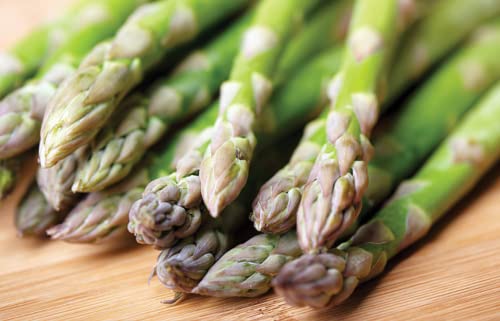 Asparagus Seeds for Planting, 50 Mary Washington Garden Vegetable Seeds, Heirloom Variety, Open Pollinated, Non-GMO