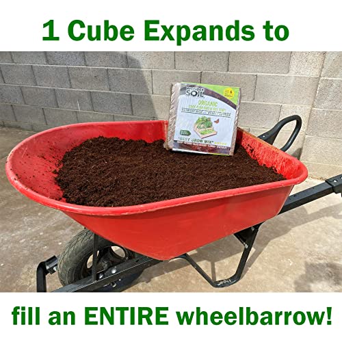 WONDER SOIL | Organic Coco Coir Brick/Block | Ready to Plant Compressed Coco Coir Fully Loaded with Nutrients | 10 LBS Block Expands to 2.5 Cu Ft | Incl Worm Castings & Nutrients