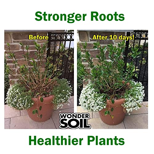 WONDER SOIL | Organic Coco Coir Brick/Block | Ready to Plant Compressed Coco Coir Fully Loaded with Nutrients | 10 LBS Block Expands to 2.5 Cu Ft | Incl Worm Castings & Nutrients