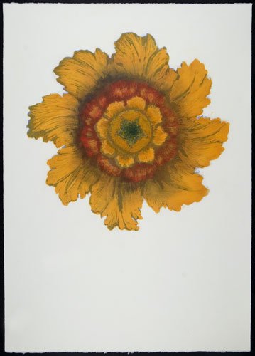 Orange Blossom II