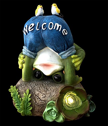 Bo-Toys Solar Powered Frog with 2 Birds Outdoor LED Garden Light Decor