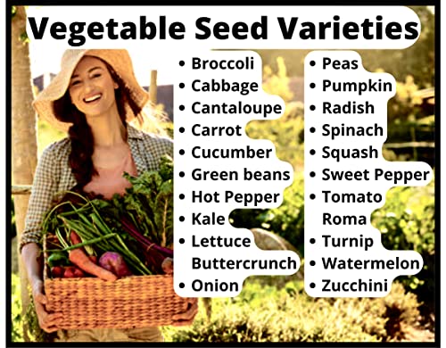 20 Vegetable & Fruit Seeds for Planting Your Outdoor & Indoor Home Seed Garden, Survival Gear Kit Includes 2900 Seeds, A Growing Guide & Mylar Package Gardening Heirloom Non-GMO Veggie Seed B&KM Farm
