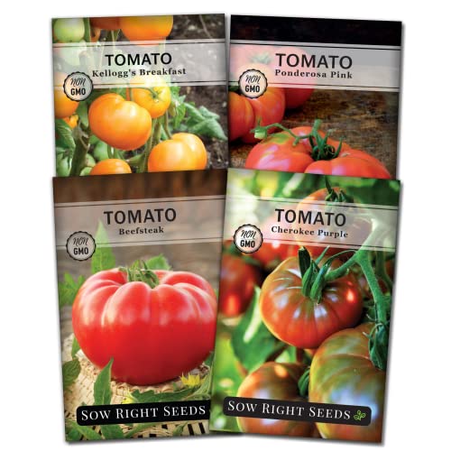 Sow Right Seeds - Beefsteak Style Tomato Seed Collection for Planting - Beefsteak, Kellogg's Breakfast, Cherokee Purple, & Ponderosa Pink - Non-GMO Heirloom Varieties to Plant a Home Vegetable Garden