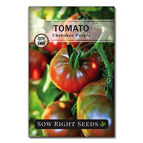 Sow Right Seeds - Beefsteak Style Tomato Seed Collection for Planting - Beefsteak, Kellogg's Breakfast, Cherokee Purple, & Ponderosa Pink - Non-GMO Heirloom Varieties to Plant a Home Vegetable Garden