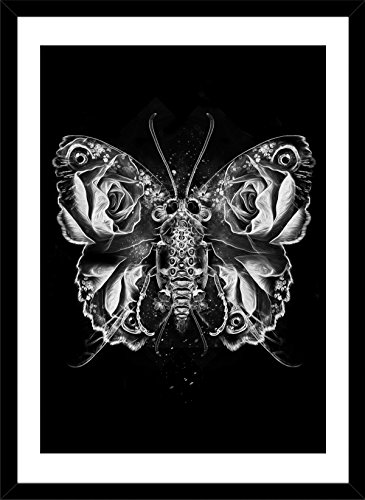FANTASMAGORIK¨ INSECTS 3