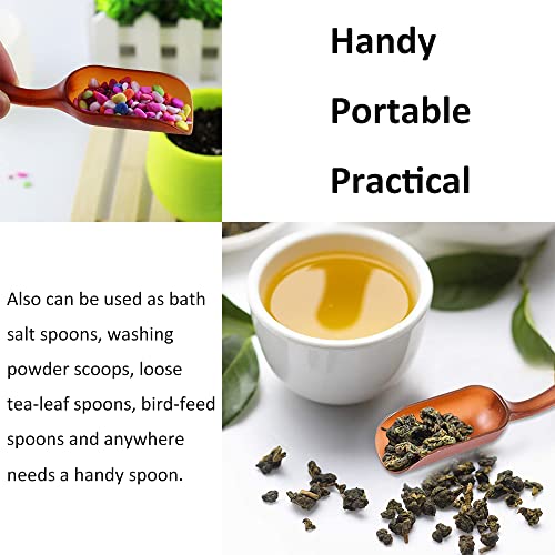 Qioly 10 PCS Plastic Mini Gardening Shovel Spoons Soil Scoops, Cultivation Digging Transplanting Tools for Succulents Potted Flowers, Bath Salt Spoons/ Washing Powder Scoops/ Loose Tea-Leaf Scoops