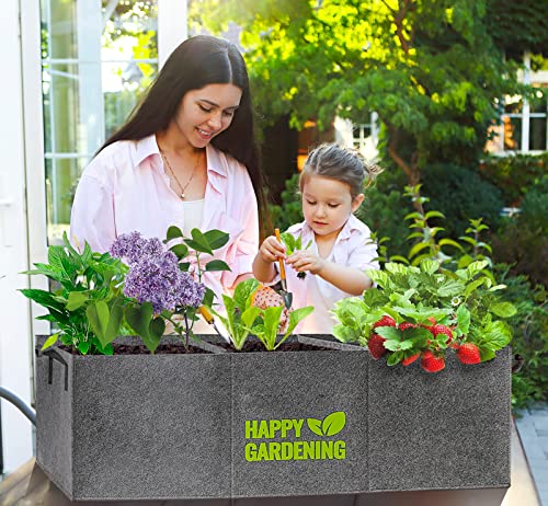 Fabric Grow Bags, 2-Pack Raised Garden Bed with Handle for Vegetable Herbs, Fabric Plant Pots Indoor Outdoor, 3 sq. ft.