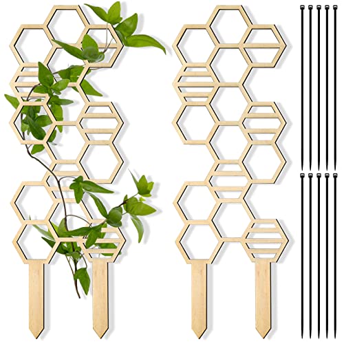 2 Pieces Wooden Small Indoor Trellis Plant Trellis for Climbing Plants Hexagon Trellis for Potted Plants Trellis Vine Supports Garden Trellises with 10 Pieces Black Cable Ties for Plant (Honeycomb)