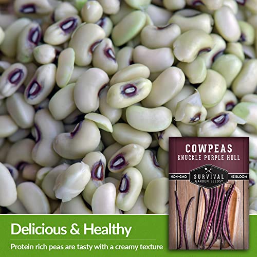 Survival Garden Seeds - Knuckle Purple Hull Cowpeas Seed for Planting - Packet with Instructions to Plant and Grow Delicious & Nutritious Peas in Your Home Vegetable Garden - Non-GMO Heirloom Variety