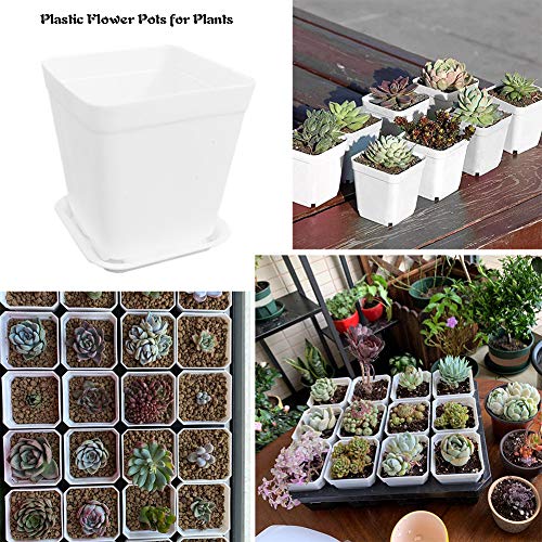 OJYUDD 3inch White Square Plastic Plant Pots with Saucer,24 Pcs Plastic Flower Pots for Plants,Plant Pots with Drainage Hole for Home,Company,Office and Garden(White)