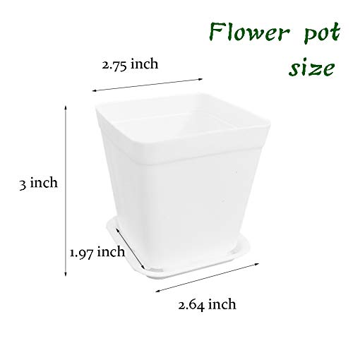 OJYUDD 3inch White Square Plastic Plant Pots with Saucer,24 Pcs Plastic Flower Pots for Plants,Plant Pots with Drainage Hole for Home,Company,Office and Garden(White)