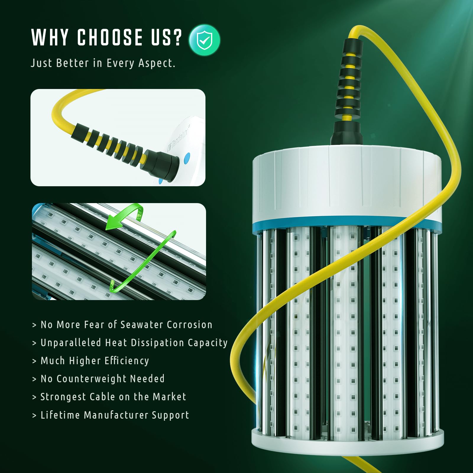 Tendelux Ultra-Bright Underwater Fishing Light, 110V & 12V Green LED Submersible Light Attractants for Docks, Boats or Kayaks, IP68 Rated for Fresh & Salt Water (30ft Cable)