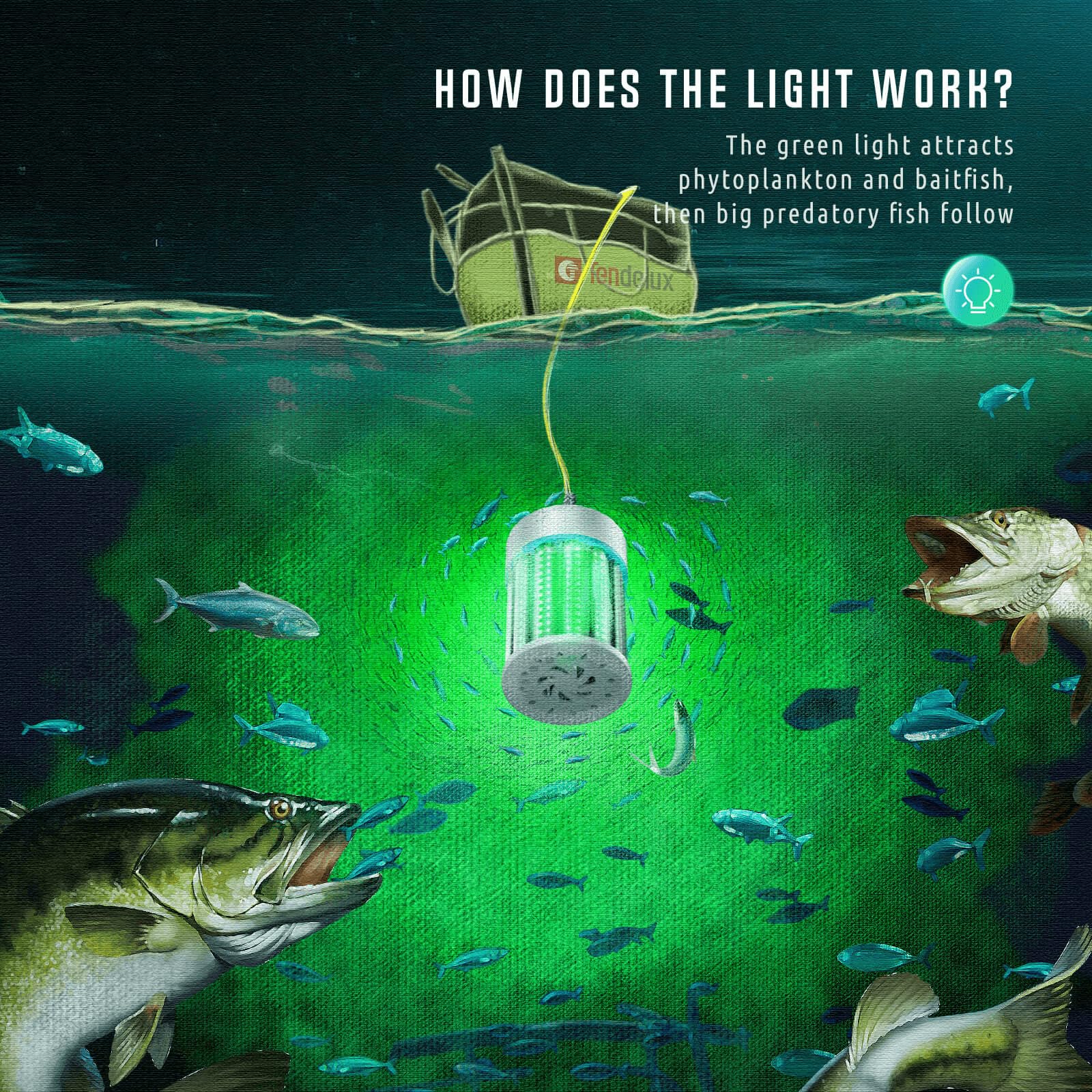 Tendelux Ultra-Bright Underwater Fishing Light, 110V & 12V Green LED Submersible Light Attractants for Docks, Boats or Kayaks, IP68 Rated for Fresh & Salt Water (30ft Cable)