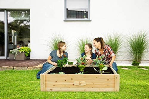 4x4 Cedar Raised Garden Bed Kit – Elevated Ground Planter for Growing Fruit/Vegetables/Herbs – (47 x 47 x 11) inches – Natural Rot-Resistant Wood Last 5+ Years Outdoors