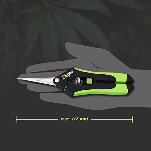 Zegos Bud Trimming Scissor 1 Pack with Curved Blades and Titanium Non-sticky Coating, Precision Pruning Shears, Hand Pruning Snips, Garden Scissors for Herb and Bud Trimming, Bonsai Cutting