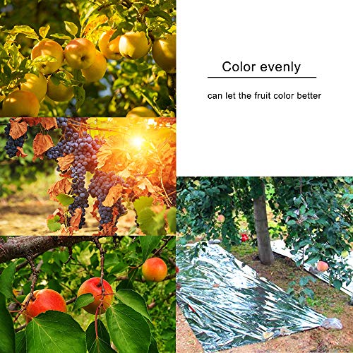 winemana 6 Pack Large High Silver Reflective Mylar Film, 83x 63 in, High Reflectivity, Keep Warm, 100% Environmentally Safe, Perfect for Plant Growth, First Aid, Marathon, Camping, Outdoor Survival